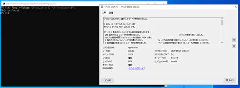 Repair Volume 】コマンドレット――ディスク上のボリュームのエラーチェックと修復を行う：windows Powershell基本tips（105） ＠it