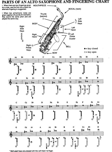Parts Of An Alto Saxophone And Fingering Chart Alto Saxophone Music Saxophone Notes Alto Sax