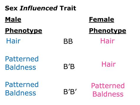 PPT The Activity Of Other Genes PowerPoint Presentation Free Download ID