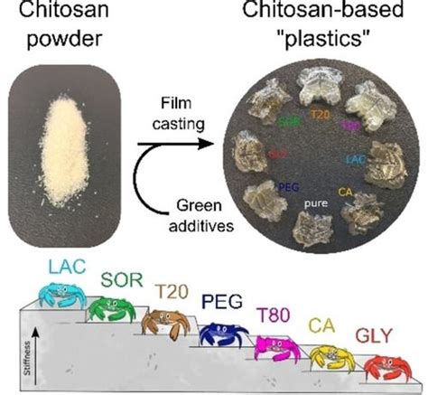 壳聚糖基生物塑料薄膜中的绿色添加剂：物理、机械和化学性能 Chemsuschem X Mol