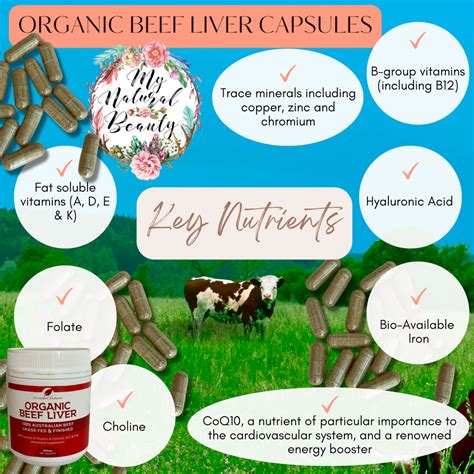 Organic Beef Liver Capsules Australia 100 Australian Beef Grass Fed