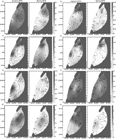 Spatial Distribution Of The Surface Temperature [8c] A Salinity Download Scientific Diagram