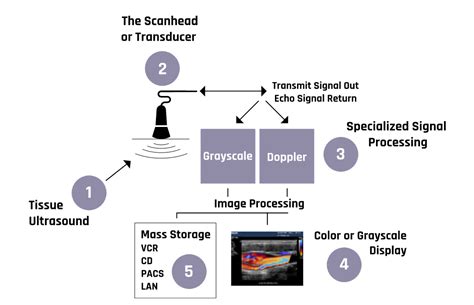 Ultrasound Instrumentation Ultrasound Physics And Its Application In Medicine
