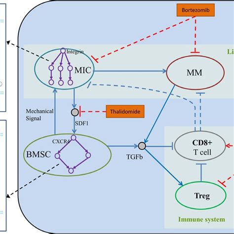 Hybrid Multi Scale Agent Based Model Of Myeloma Cell Growth Download