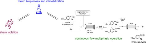 Oxidation Of Benzyl Alcohol Derivatives Into Carboxylic Acids With A
