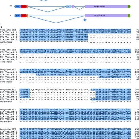 The Codon Usage Frequencies Of Under And Overrepresented Codons For Download Scientific Diagram