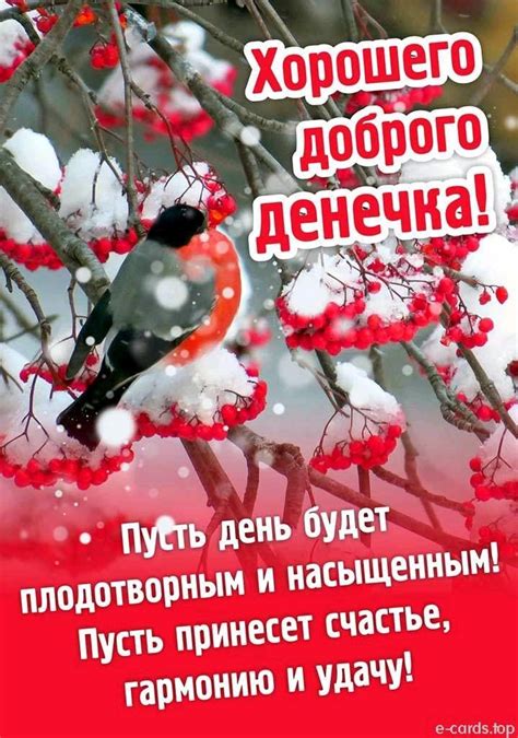 Пин на доске Добрый день Юбилейные открытки Смешные поздравительные открытки Счастливые картинки