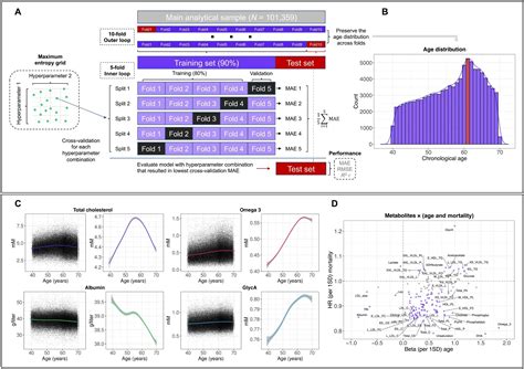 Machine Learning Reveals How Metabolite Profiles Predict Aging And Health Your Health Manual