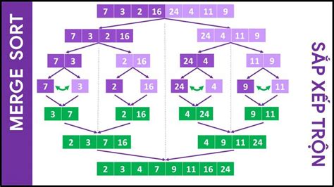 Merge Sort Là Gì Thuật Toán Sắp Xếp Trộn Merge Sort Trong Cc
