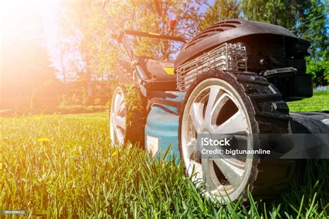 잔디를 깎고 푸른 잔디 잔디 깎는 사람 잔디 장비 정원사 관리 작업 도구를 깎고에 잔디 깍는 기계 가까이 보기 화창한 날 부드러운 번개 0명에 대한 스톡 사진 및 기타