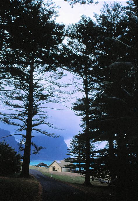 Lord Howe Ng Gallery Good Old Chinwagging