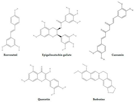 Mushroom Derived Compounds As Metabolic Modulators In Cancer R Longevity2