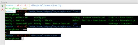 In Terminal Emulators Bash Fails To Render Correct Background Color
