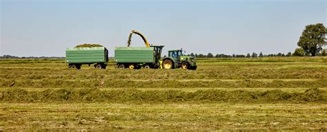 Yara En Espa A Yara Panam