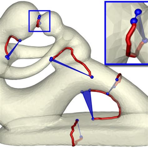 pdf computing geometry aware handle and tunnel loops in 3d models