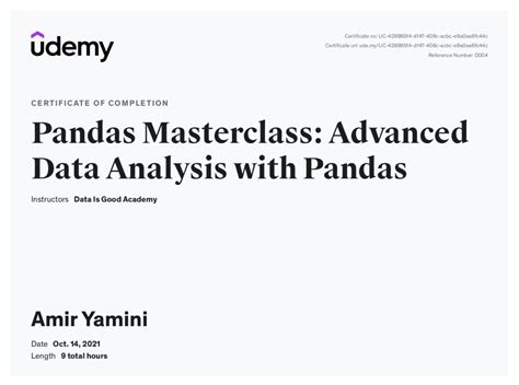 Dataisgood Udemy Datascience Dataanalysis Datascientists Pandas Amir Yamini