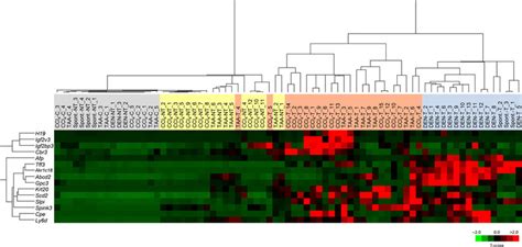 heatmap of 2 d hierarchical clustering of mrna expression of 15
