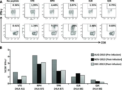 Functional Characterization Of Cmv Specific T Cells Pbmc And In Vitro