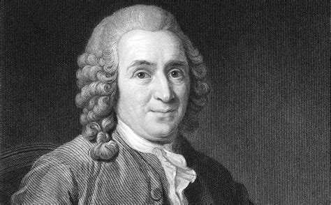 The Linnaeus System Of Taxonomy Worldatlas