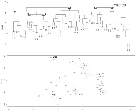 Dendrogram A And Nmds Ordination B From The Asphodelus Macrocarpus
