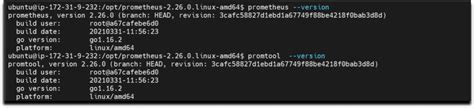 How To Install Prometheus On Ubuntu 2004 Lts