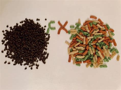 Купить корм для рыб оптом и в розницу Как правильно кормить рыбу в пруду летом и зимой