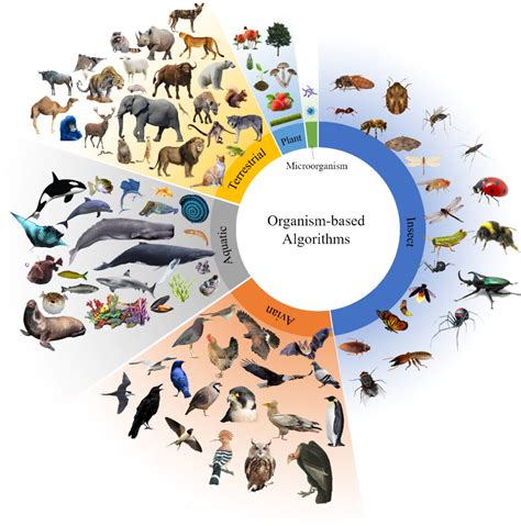 Nature Inspired Algorithms And Aerospace Shahin Darvishpoor