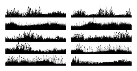 풀밭이 있는 초원 실루엣 평야에 식물 허브 다양한 잡초가 있는 탁 트인 여름 잔디밭 풍경 초본 테두리 프레임 요소 검은색 가로 배너입니다 벡터 그림 0명에 대한 스톡 벡터