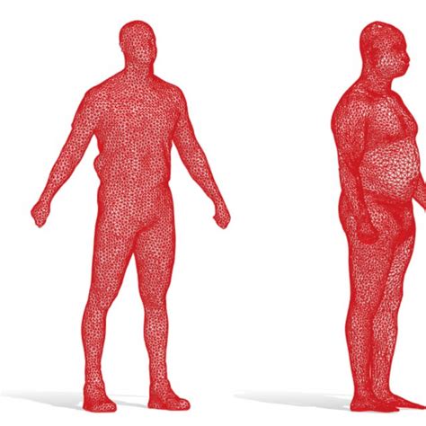 Samples From The Shrec 2019 Dataset 8 Download Scientific Diagram