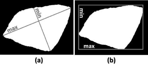 Maximum Length And Minimum Width Distances As Defined In The First Download Scientific