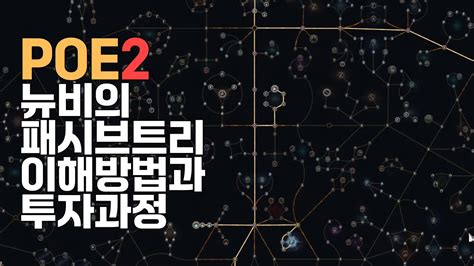 Poe2 뉴비가 패시브 트리 찍은 과정│냉기 소서리스 Youtube