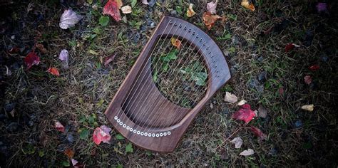 16 String Lyre Black Walnut Private Stock Lumber Harvested On Site