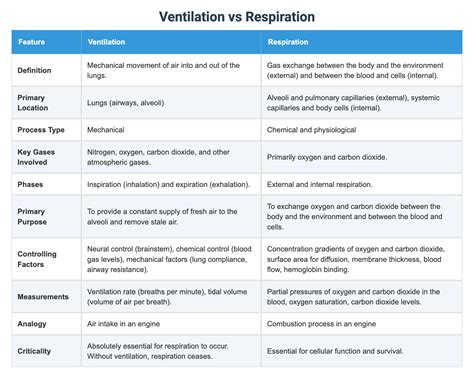 Ventilation Vs Respiration