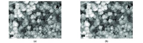 CHM In Study Area A Before Optimization And B After Optimization Download Scientific