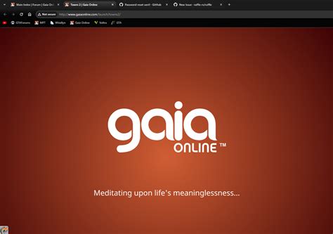 Gaia Online Gamesworlds Hung Loading Flash · Issue 13758 · Ruffle Rsruffle · Github