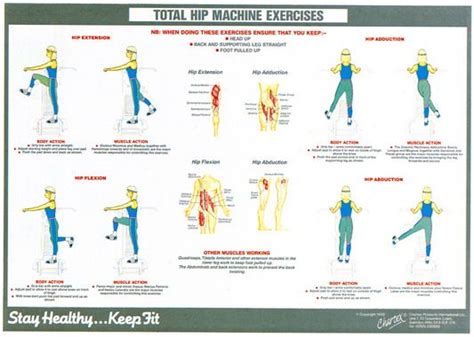 Exercise Program Exercise Program After Hip Replacement