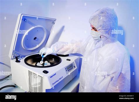 Fossil Dna Analysis Scientist Extracting Dna Deoxyribonucleic Acid