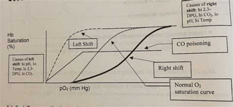 Section 90 Hemoglobin Saturation Curve And Types Of Hb Flashcards Quizlet