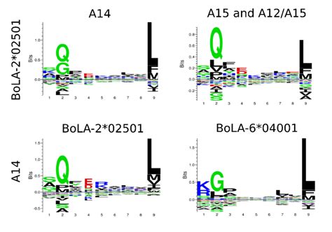 Upper Row Binding Motifs For Bola 2 02501 Obtained By Nnalign Ma