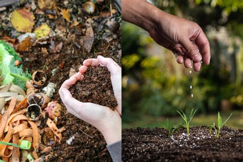 Compost Vs Fertilizer Differences Benefits And Drawbacks