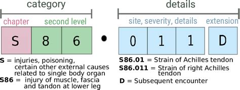Example Of Icd10 Cm Code Structure Download Scientific Diagram