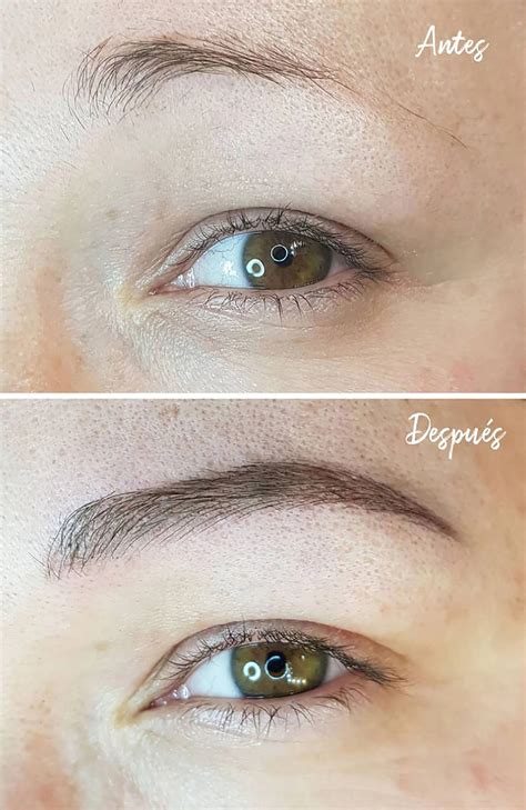 Microblading Vs Microshading Qué Método Elegir Para Lograr Cejas Con Definición Infobae
