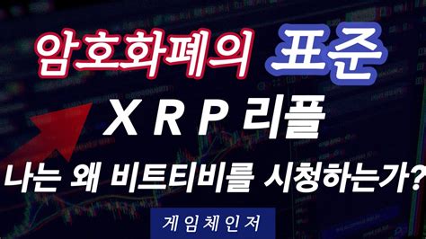 비트코인 고래 매집 시작ㅣ똑똑한 소비자는 리플을 얻는다ㅣ Youtube