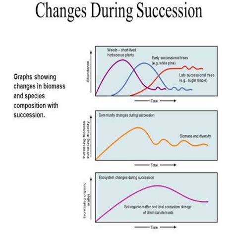 Ecological Succession Graph