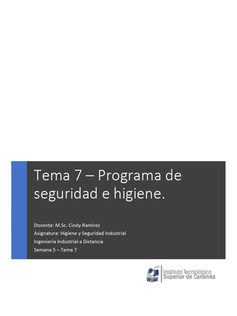 Tema 7 Programa De Seguridad E Higiene Pdf La Seguridad