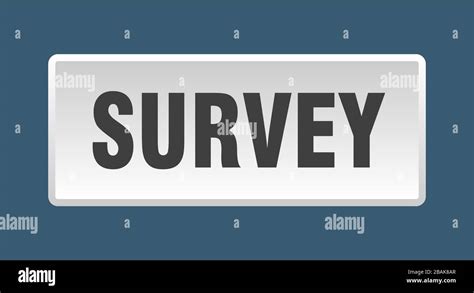 survey button survey square white push button stock vector image and art