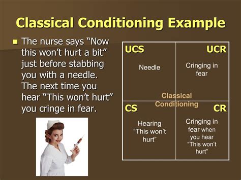 Classical Conditioning Examples Human At Sandra Moody Blog