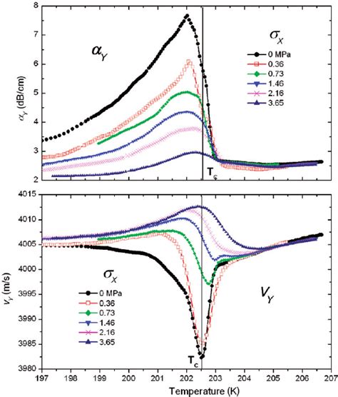 Temperature Dependence Of Velocity And Attenuation Of A Longitudinal