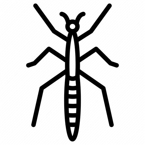 Bug Stick Phasmatodea Phasmids Phasmid Stick Insect Bug Icon Download On Iconfinder