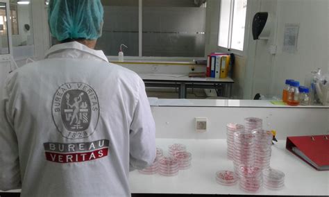 Testing And Analysis South Africa